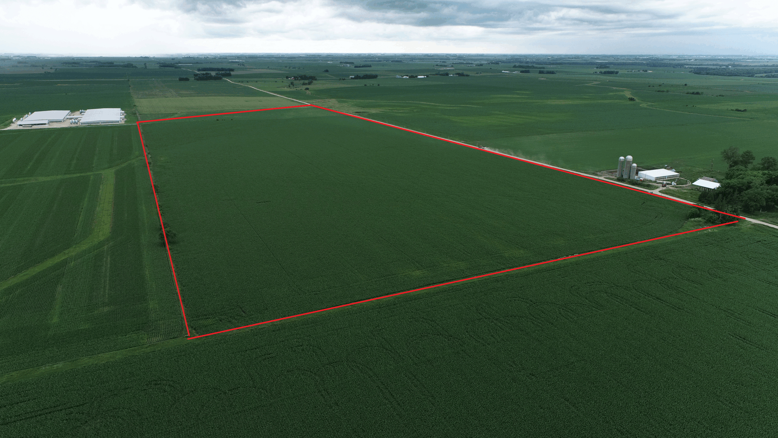 SOLD!! $1,952,000 Mitchell County 80 +/- Acre Farmland Auction - Fox ...
